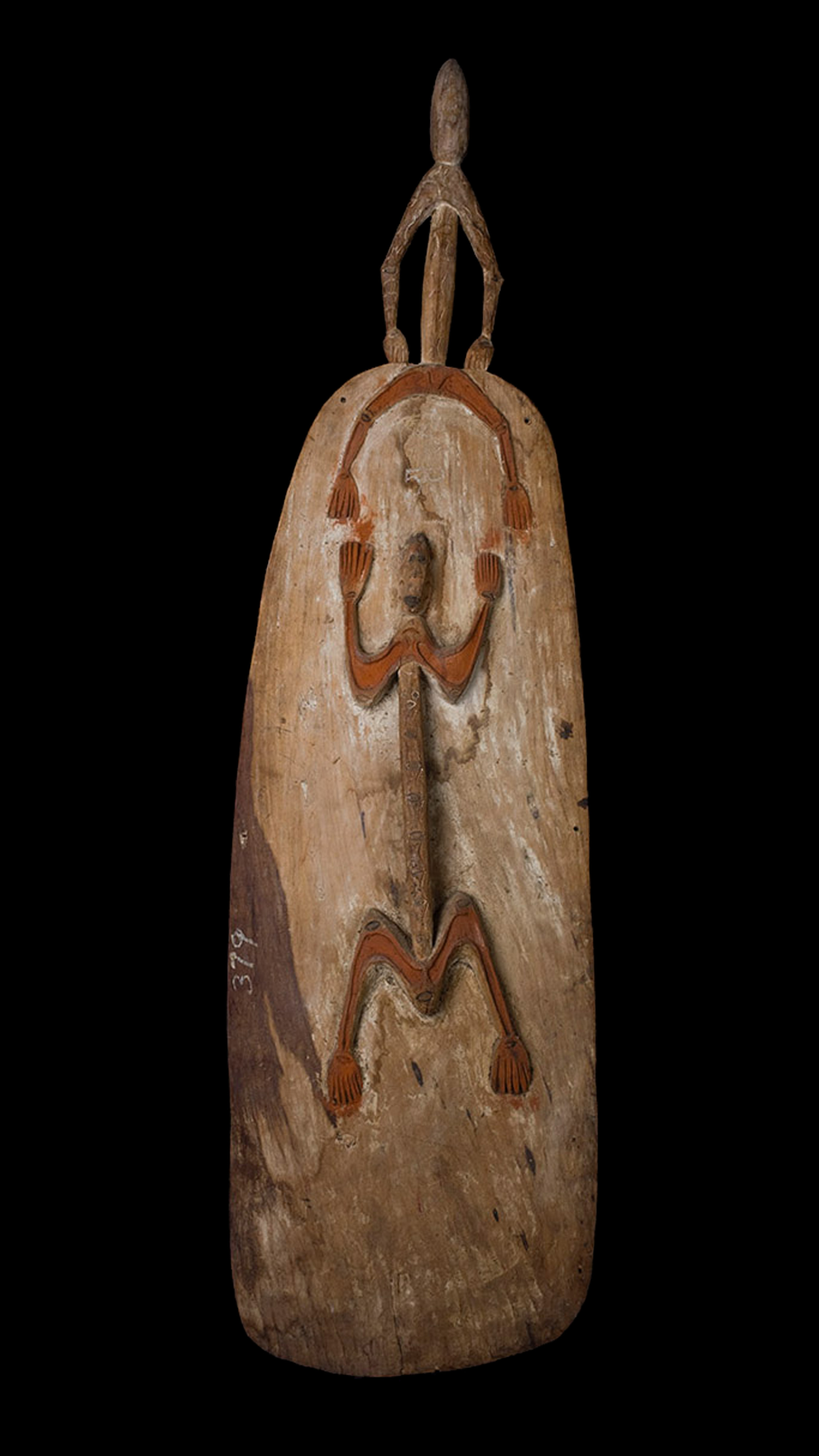 War Shield, Monu Village, Unir River, W Asmat - Oceanic Arts Australia